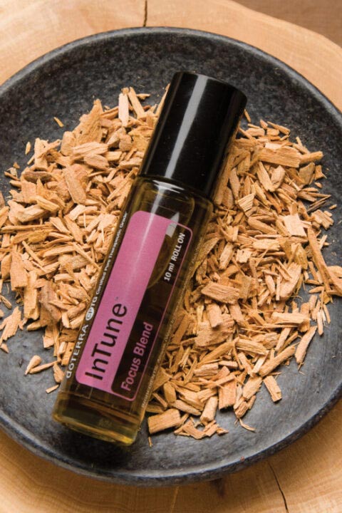 doTERRA InTune - Magnolio.at